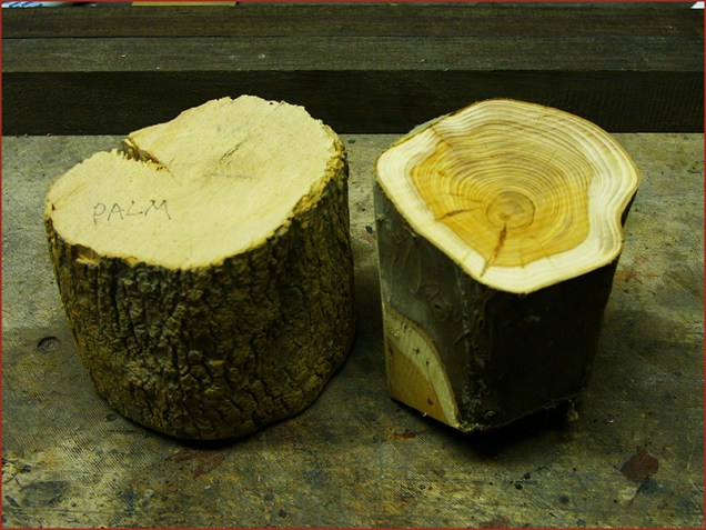 Photographer René Smets Builds a Fully Functioning Camera Lens out of ...